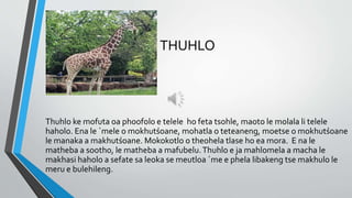 LIPHOOFOLO TSE HLAHA | PPTX