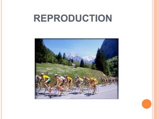 Albert bandura and social learning theory | PPTX