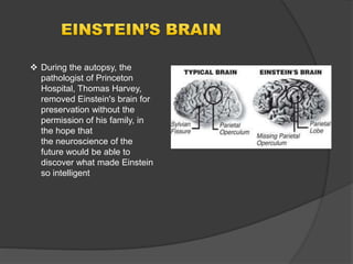 Albert Einstein | PPTX