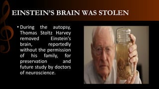 Albert einstein ppt | PPTX