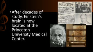 Albert einstein ppt | PPTX