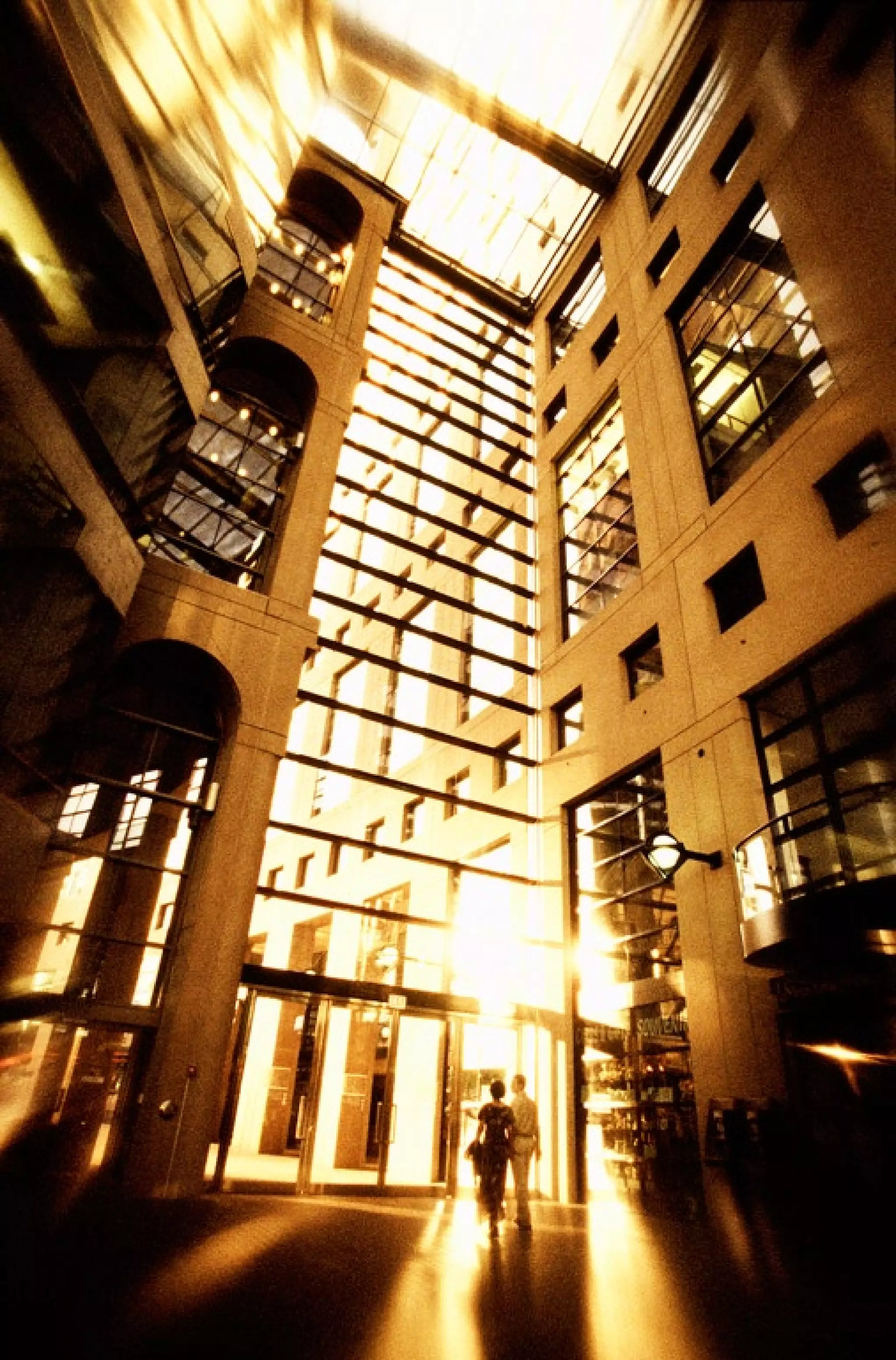 Albert Normandin Portfolio | PDF