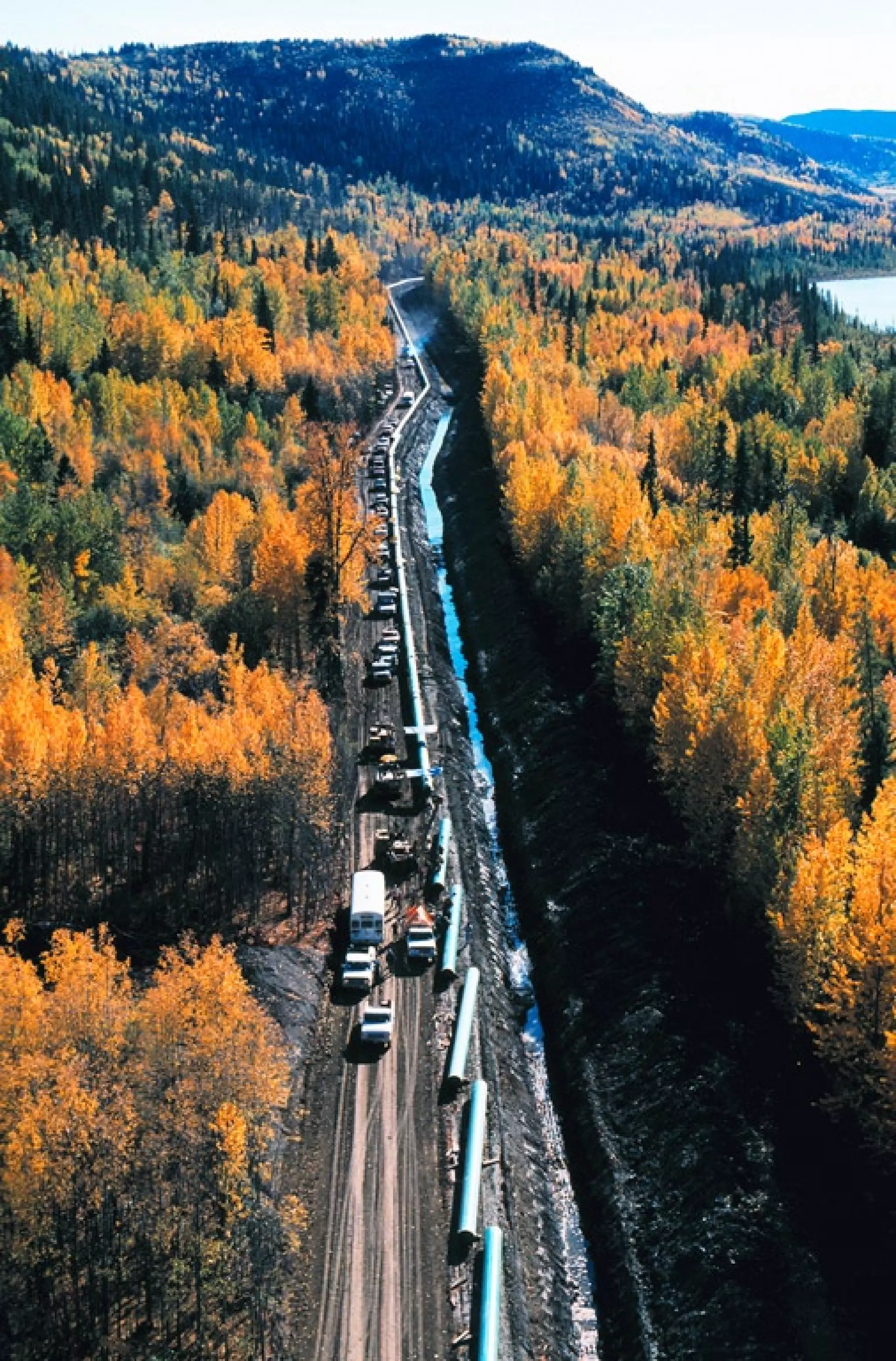 Albert Normandin Portfolio | PDF