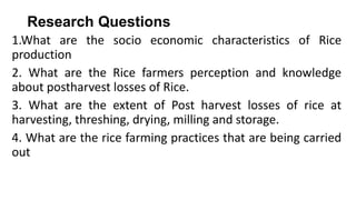 Survey on post-harvest of cassava | PPTX | Agriculture | Industries