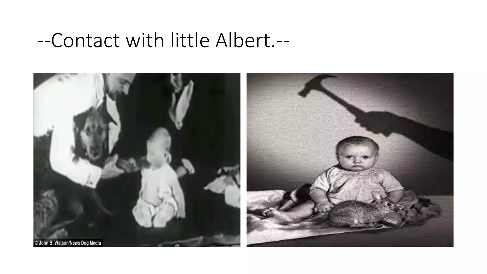 Albert's experiment.pptx
