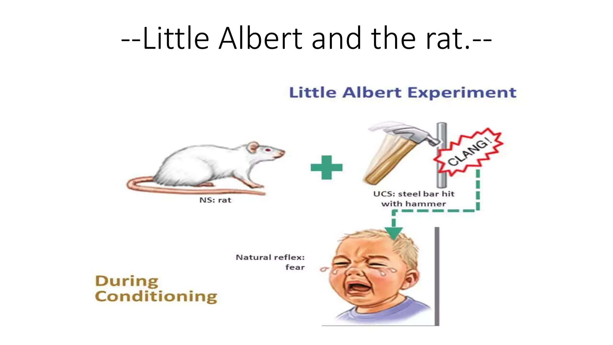 Albert's experiment.pptx