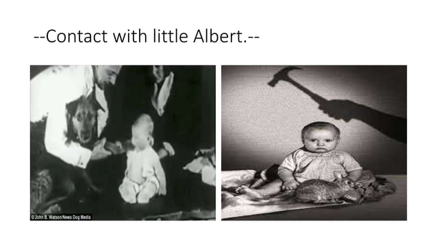 Albert's experiment.pptx