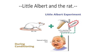 Albert's experiment.pptx