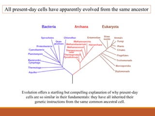 Importance and Essentials and Necessities of Cell and Molecular Biology ...