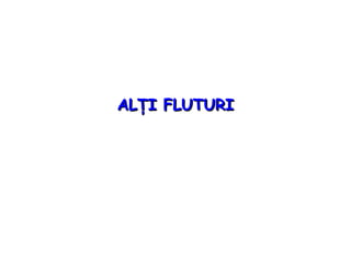 Albilita Camelia Costea | PPT