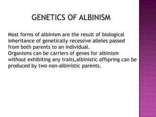 Albinism | PPTX