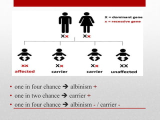 Albinism | PPTX