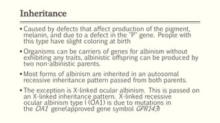 Albinism | PPTX