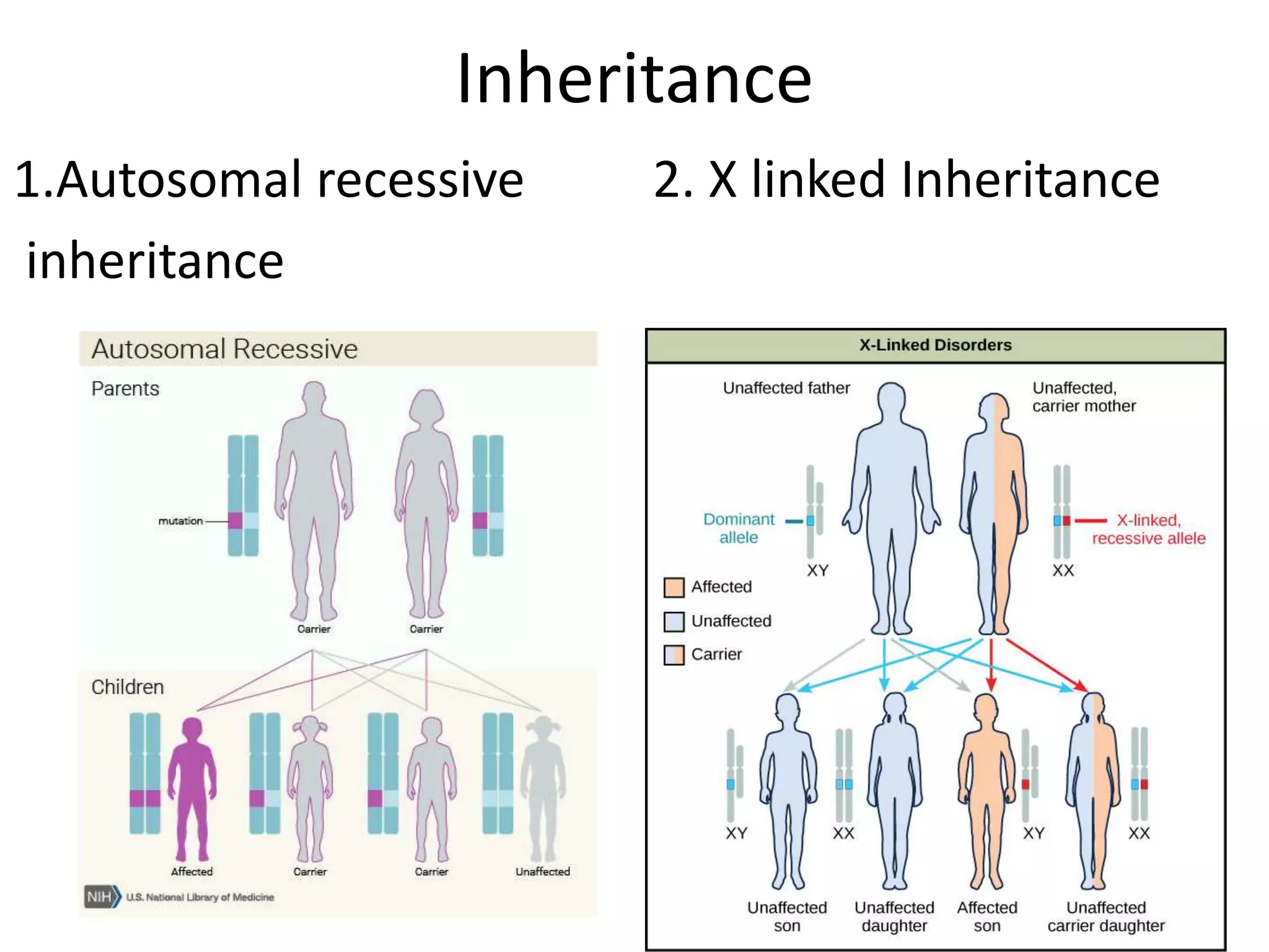 Albinism | PPTX | Eye and Vision Conditions | Diseases and Conditions