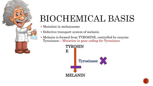 ALBINISM , definition, Inheritance, Biochemical Basis,Types ...