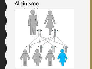 Albinismo | PPTX