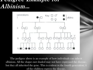 Albinism powerpoint[1] | PPT