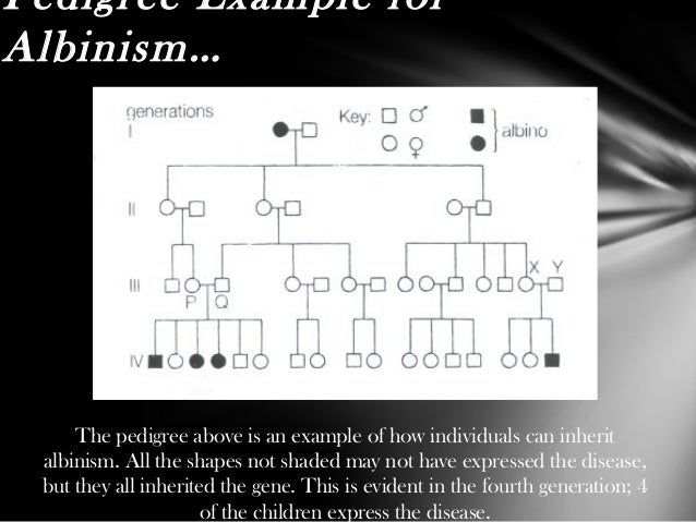 Albinism powerpoint[1]