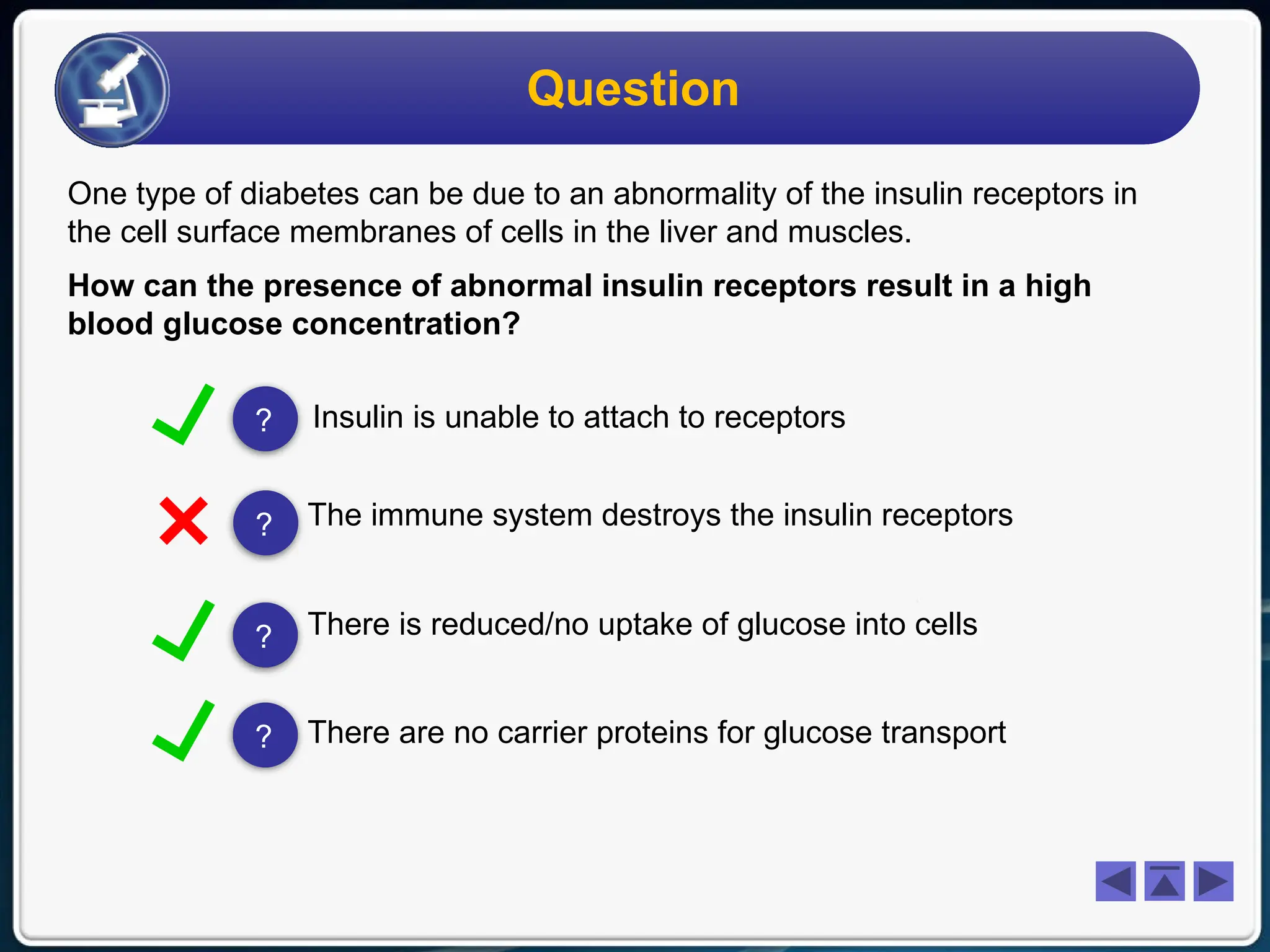 Biology Homeostasis - Blood Glucose.ppt