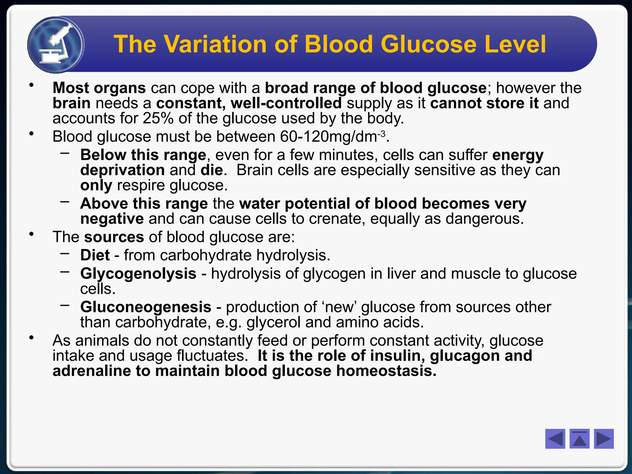 Biology Homeostasis - Blood Glucose.ppt