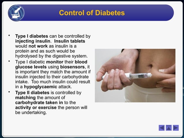 Biology Homeostasis - Blood Glucose.ppt