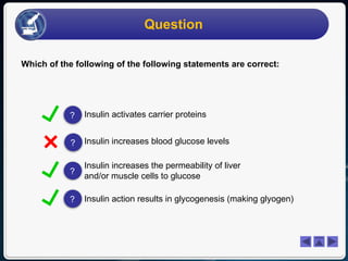 Biology Homeostasis - Blood Glucose.ppt