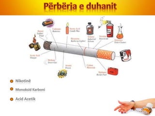 Projekt duhani 05.12.2017