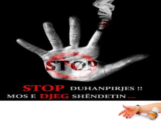 Projekt duhani 05.12.2017