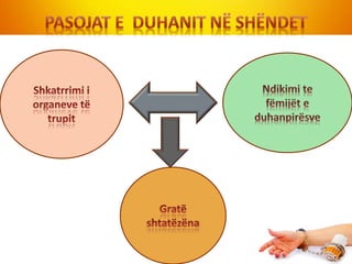 Projekt duhani 05.12.2017