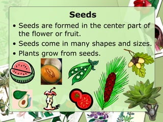 Al blog plants | PPT