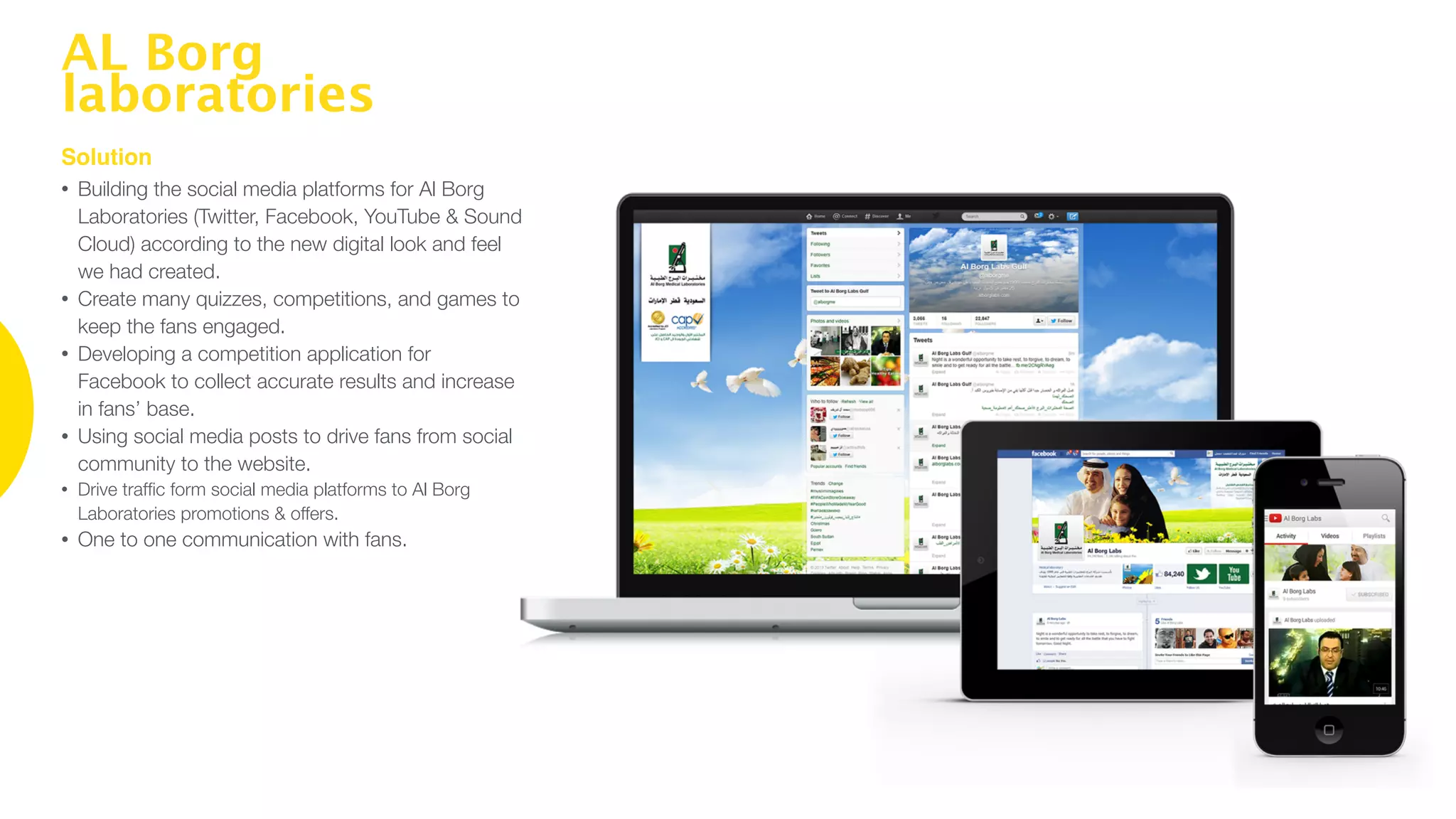 Al borg laboratories | PDF