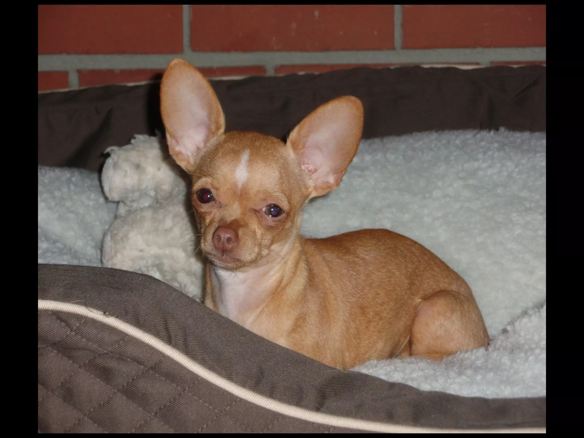 Dealing with Difficult Patrons | PPT