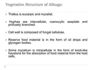 Albugo | PPTX | Gardening | Home & Garden