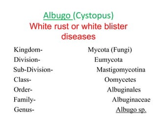 Albugo | PPTX | Gardening | Home & Garden