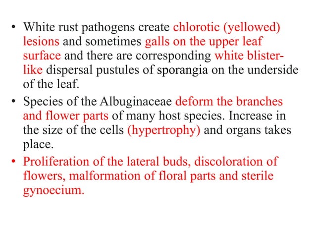 Albugo | PPTX | Gardening | Home & Garden