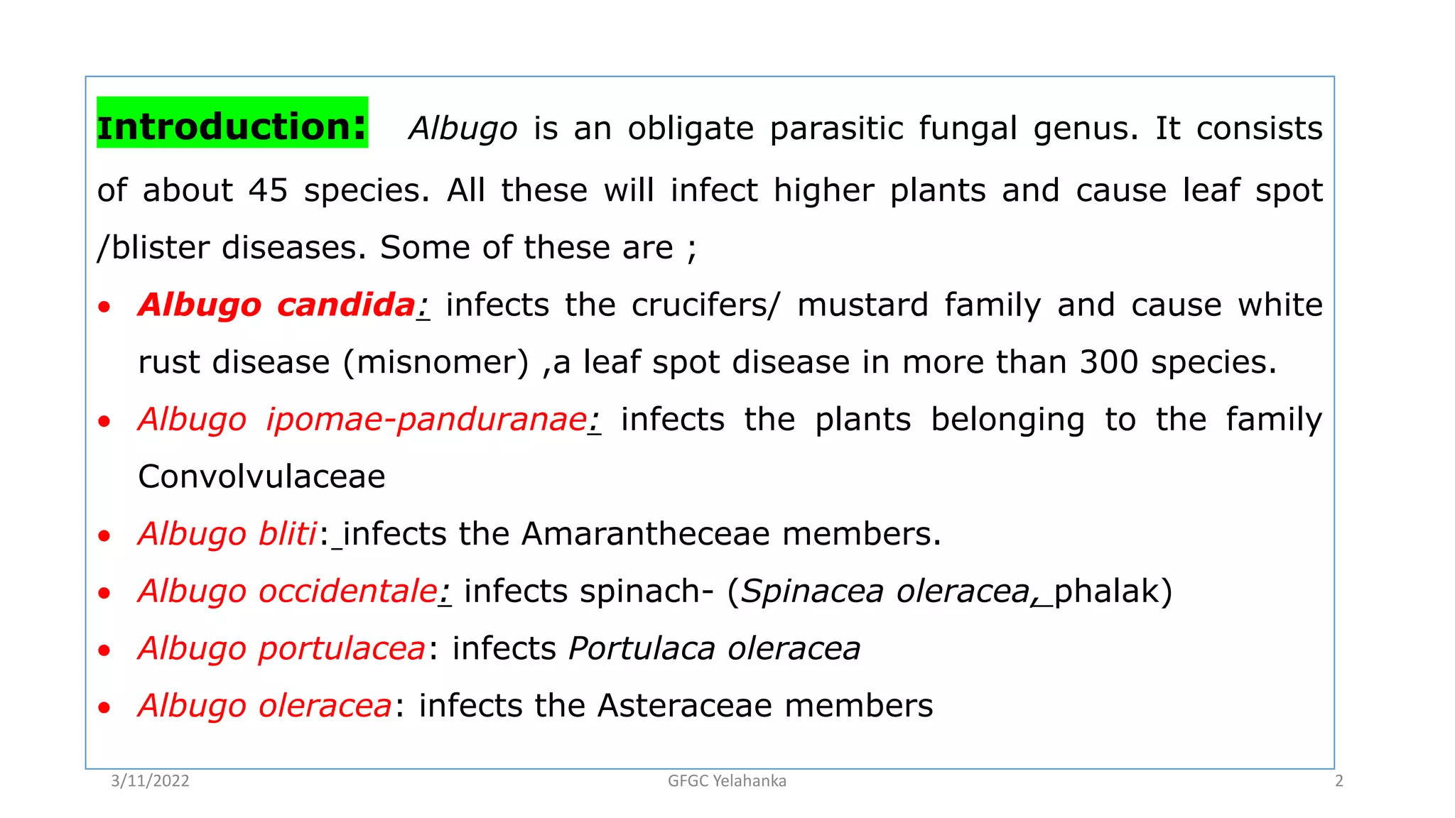 Albugo | PDF | Gardening | Home & Garden