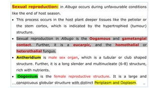 Albugo | PDF | Gardening | Home & Garden