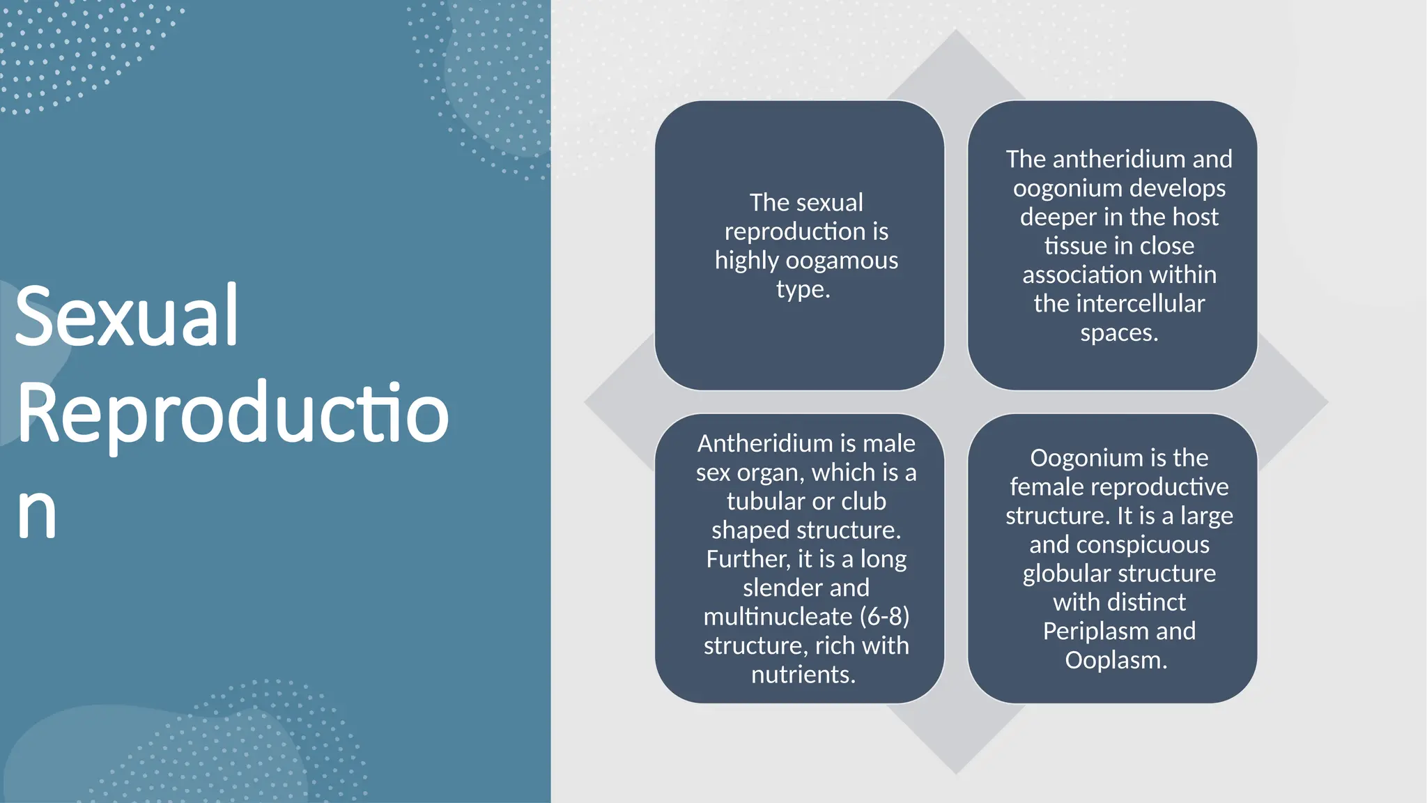 Albugo presentation plant pathology lecture. PPTX | PPTX