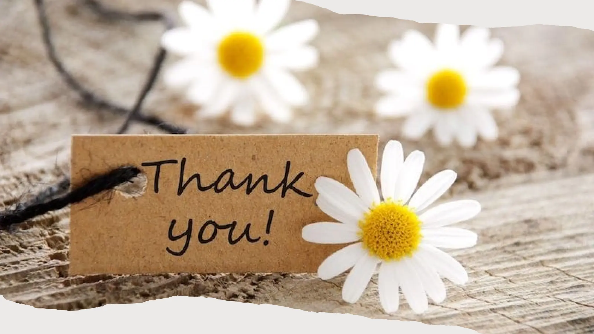 Albugo presentation plant pathology lecture. PPTX | PPTX | Gardening ...