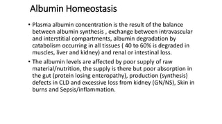 Albumin and Nephrology.pptx