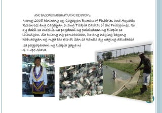 Album on region 2 | PPTX