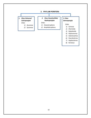 Album Taksonomi Hewan Invertebrata 6 phylum.pdf