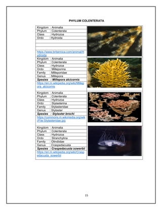 Album Taksonomi Hewan Invertebrata 6 phylum.pdf