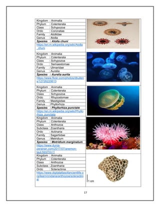 Album Taksonomi Hewan Invertebrata 6 phylum.pdf