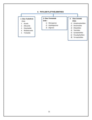 Album Taksonomi Hewan Invertebrata 6 phylum.pdf
