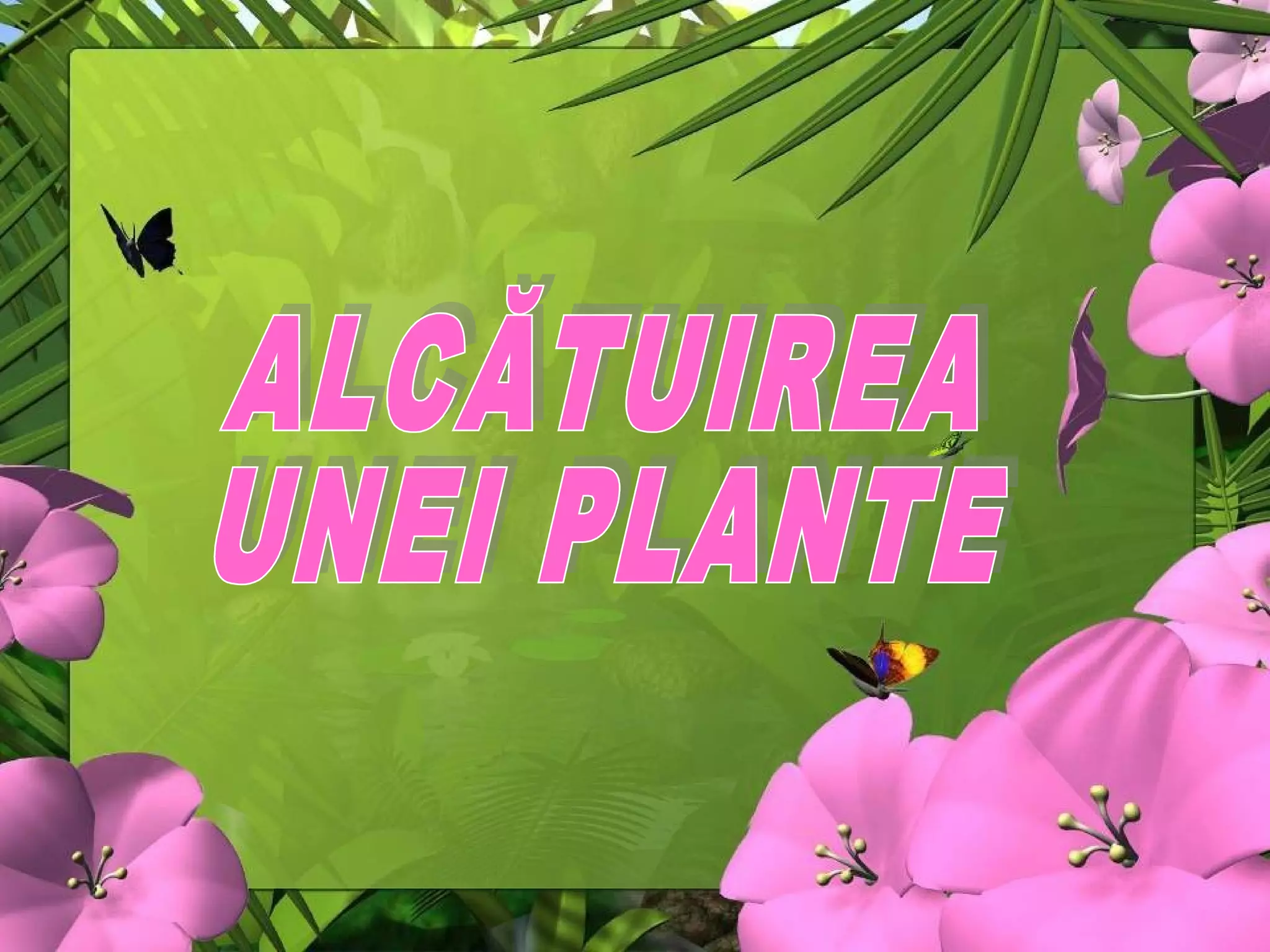 Alcatuirea unei plante | PPT