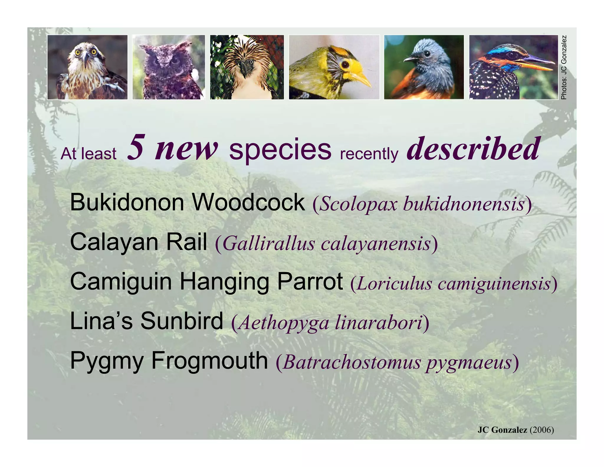 PHILIPPINE BIODIVERSITY: Ecological Roles, Uses, and Conservation ...