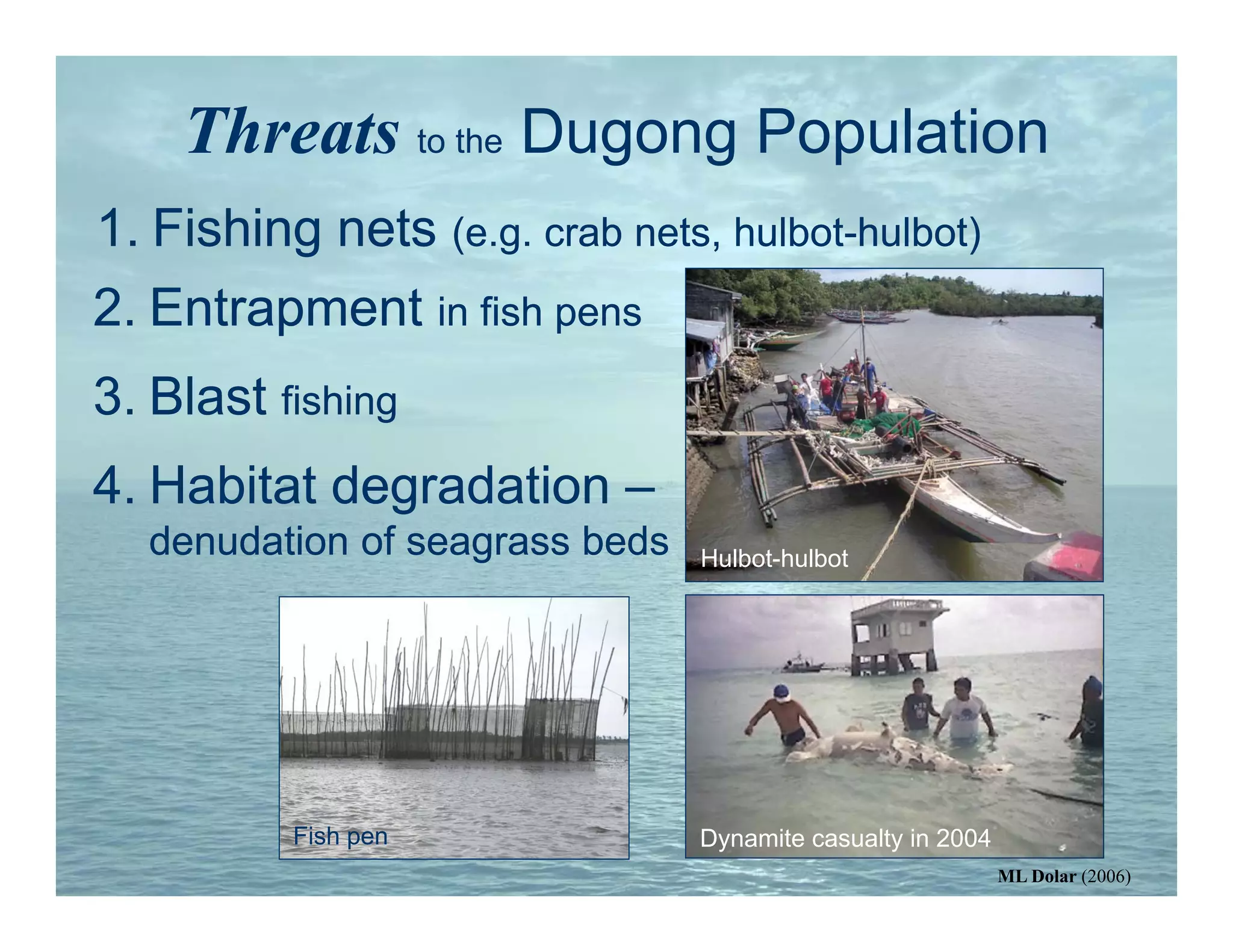 PHILIPPINE BIODIVERSITY: Ecological Roles, Uses, and Conservation ...