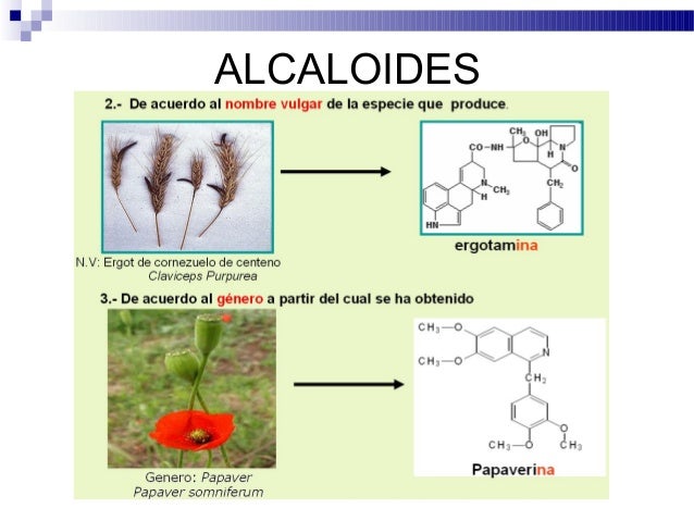 Alcaloides