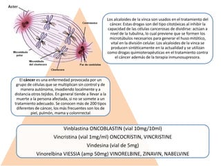 Alcaloides de la vinca. | PPTX